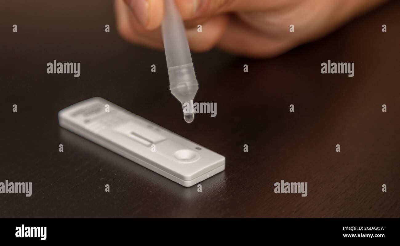 Covid19 Coronavirus detection. Man performing a self test. Rapid ...