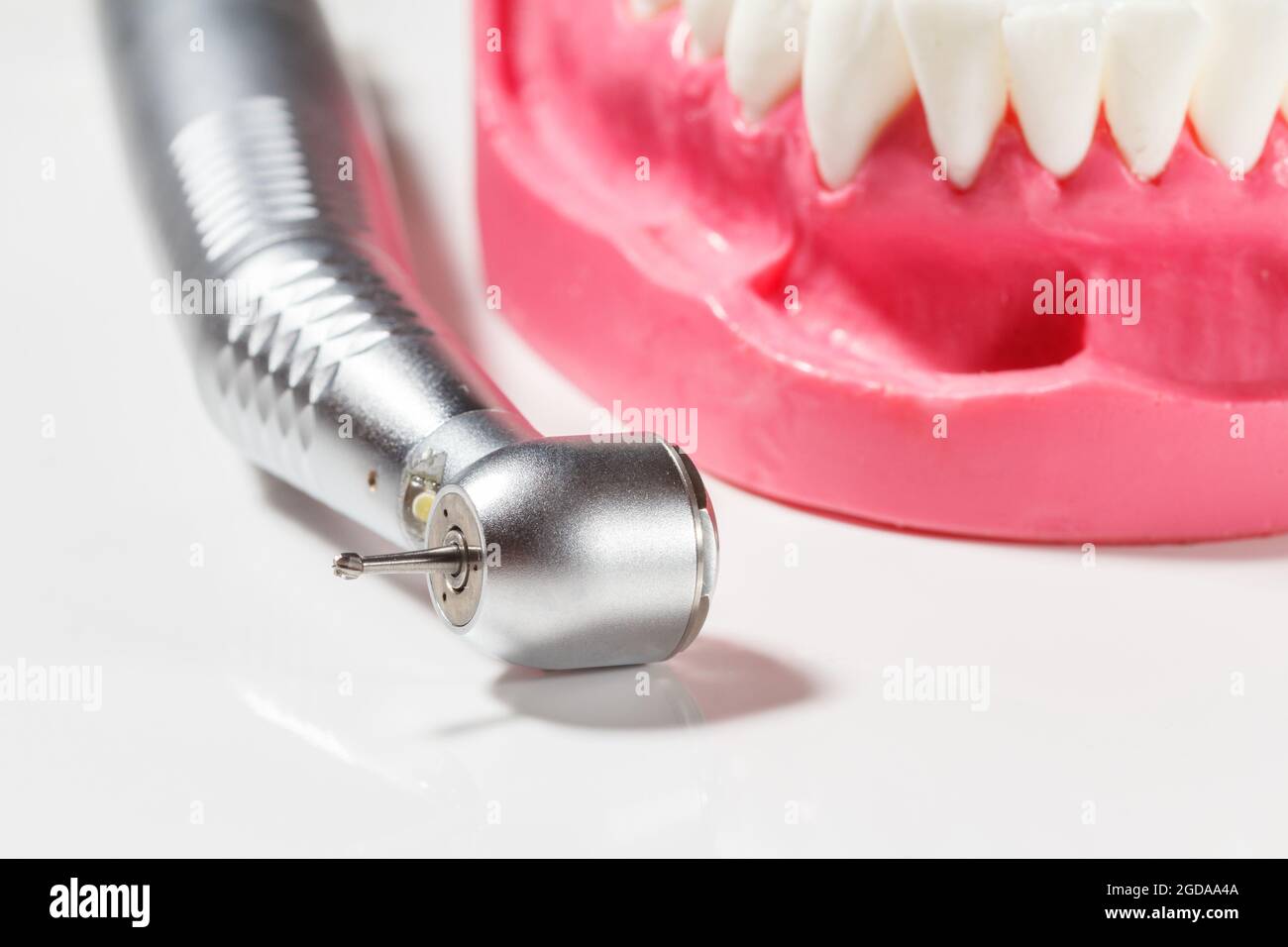 Head of high-speed dental handpiece with bur and a layout of the human ...
