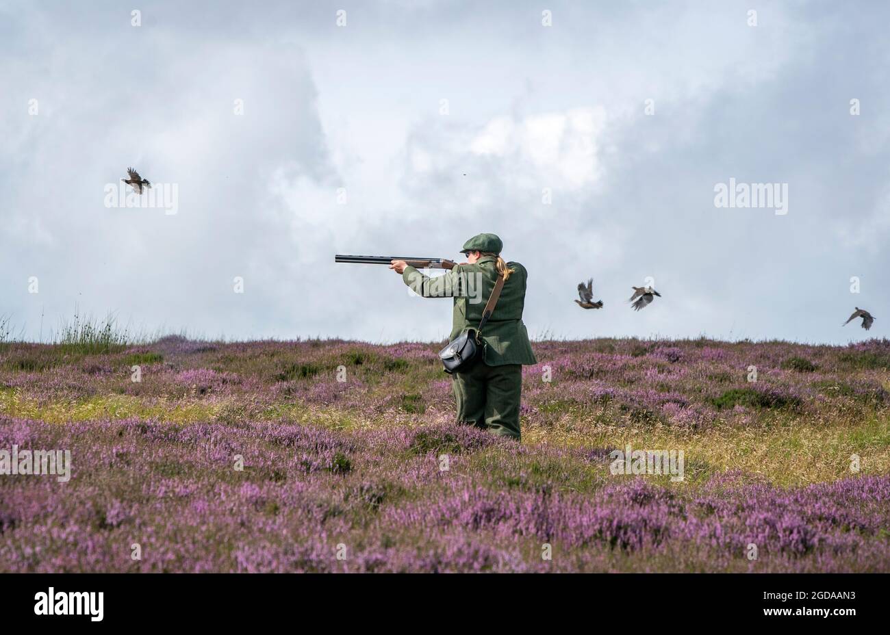 Pam Butler shoots grouse at Byrecleugh Farm, part of the Roxburghe ...