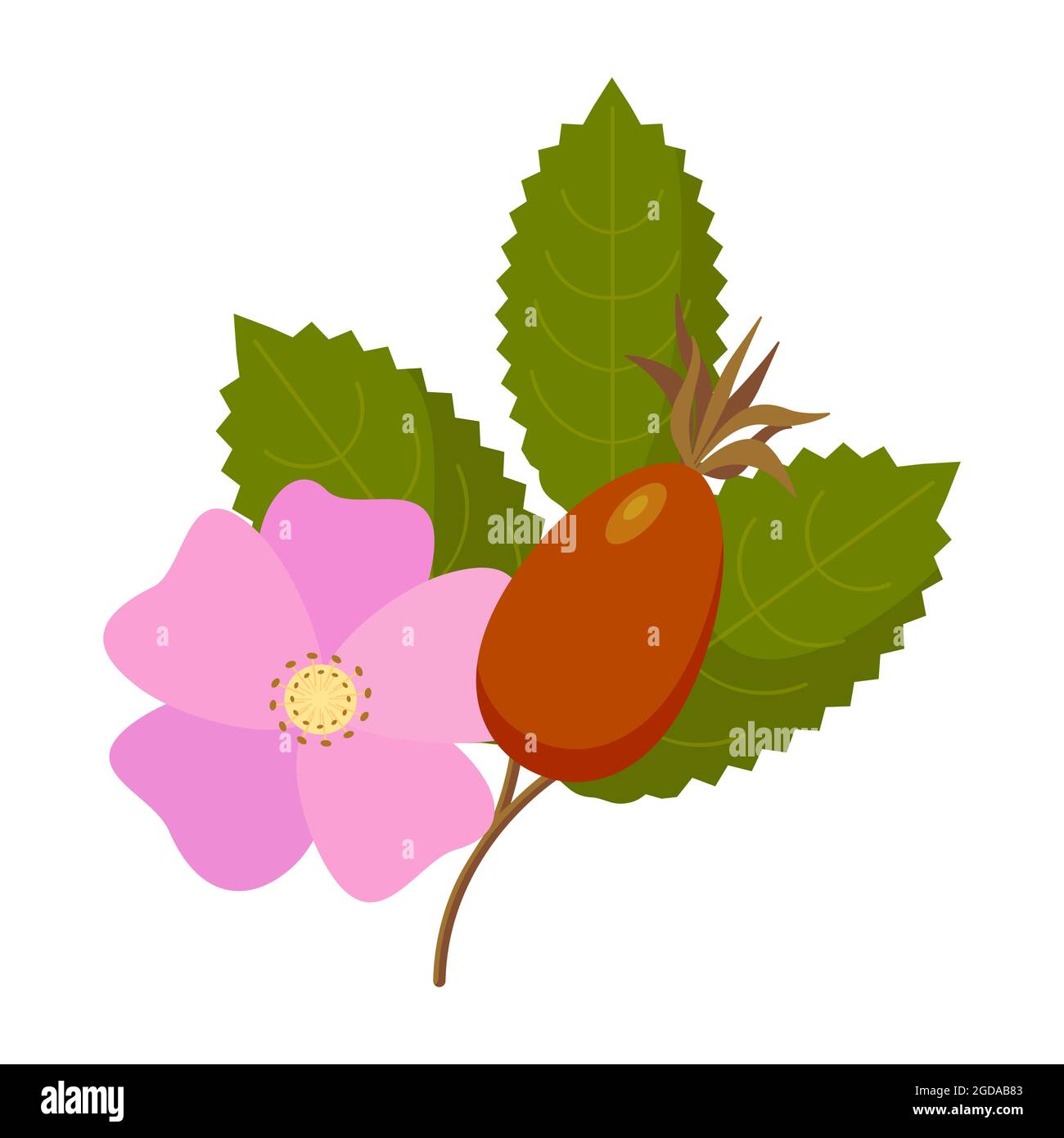 Natural cosmetics fresh flowers Stock Vector Images - Alamy