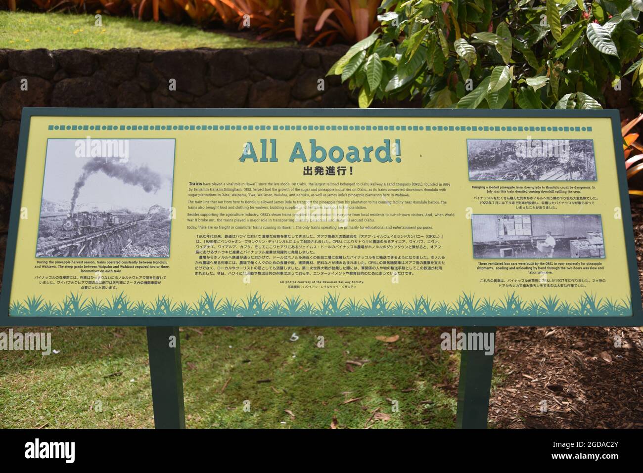 Dole plantation pineapple maze hi-res stock photography and images - Alamy