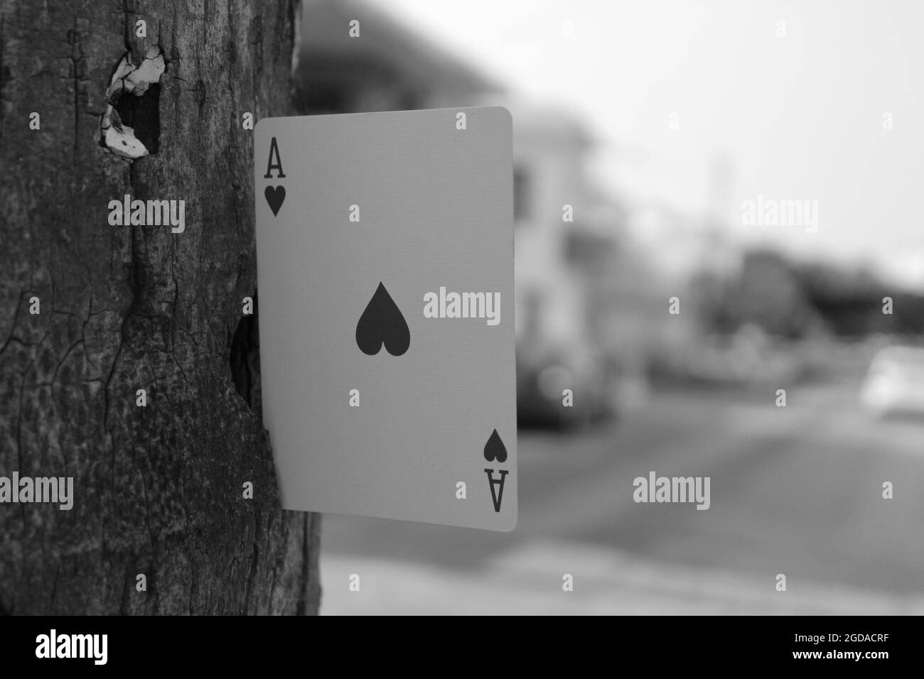 Card ace Black and White Stock Photos & Images - Alamy