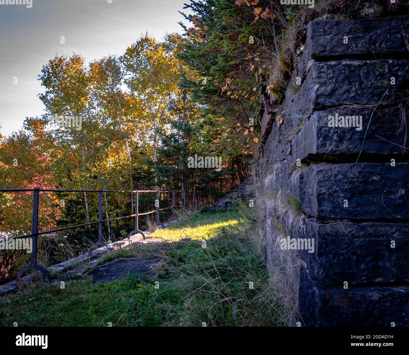 the ramparts of fort Ives being grown over nature is recapturing Stock ...