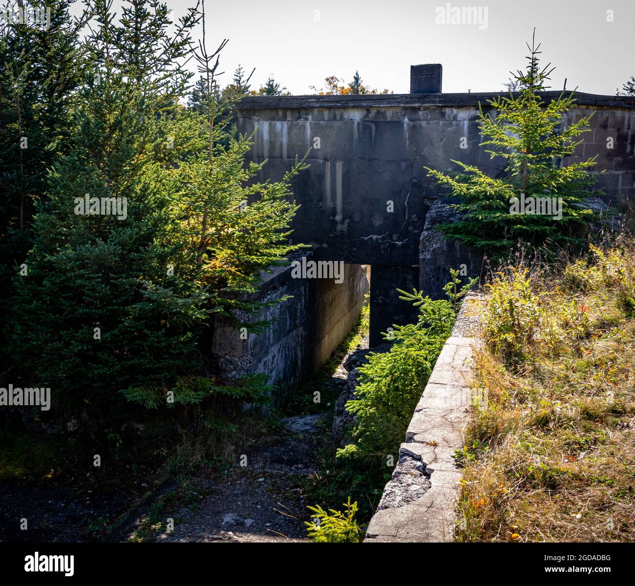 stone passageway in fort ives between to buildings Stock Photo - Alamy
