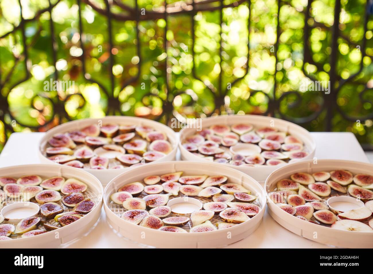 Drying process of sliced figs on plates on the table on the balcony ...
