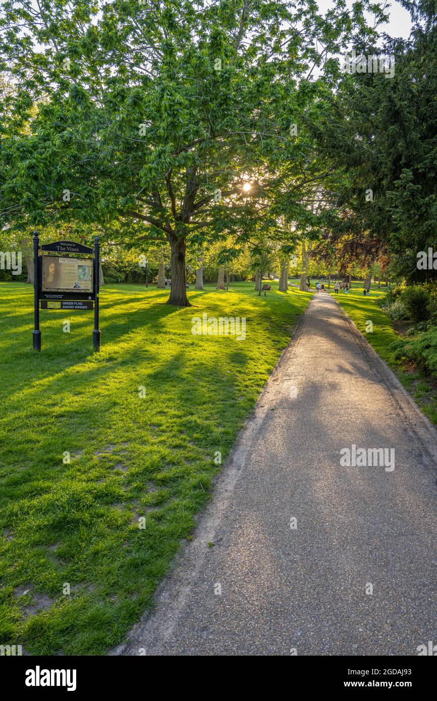 Vines park hi-res stock photography and images - Alamy