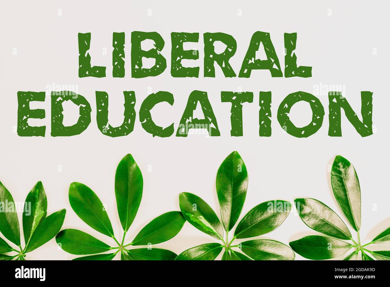 Text caption presenting Liberal Education. Business showcase education ...