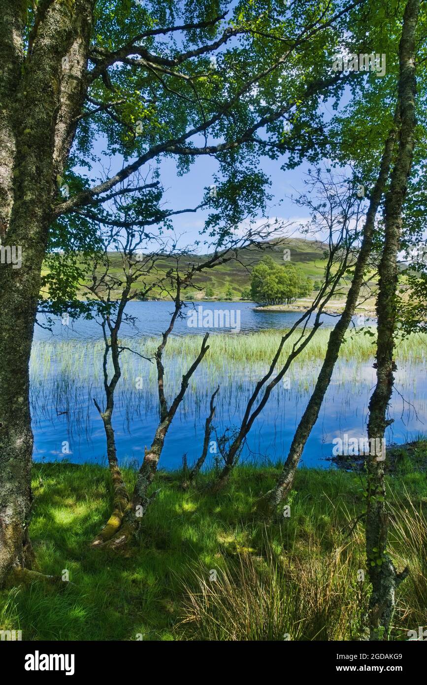 Beautiful Loch Tarff, B862, near Fort Augustus, on secret south side of ...