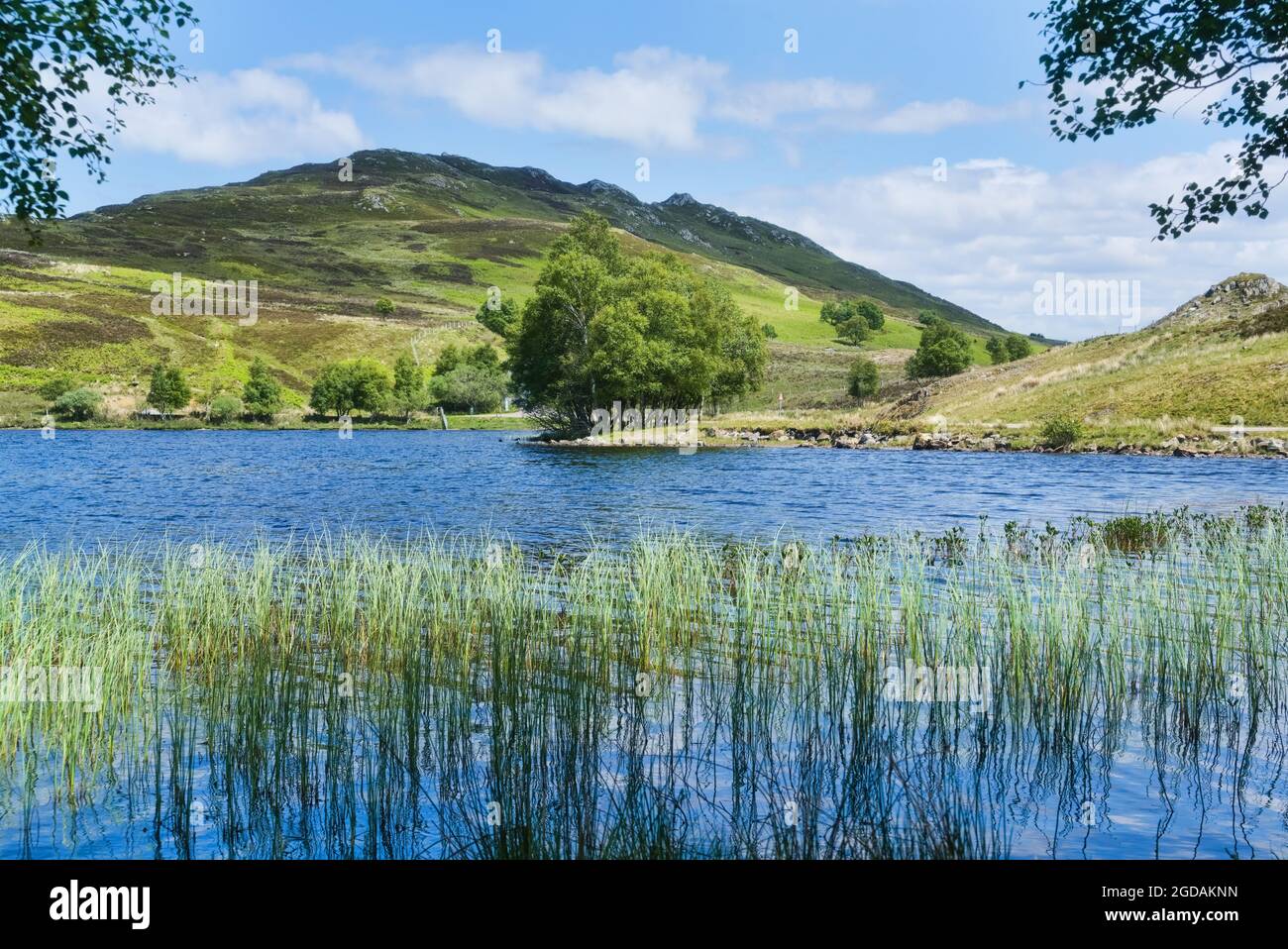 Beautiful Loch Tarff, B862, near Fort Augustus, on secret south side of ...
