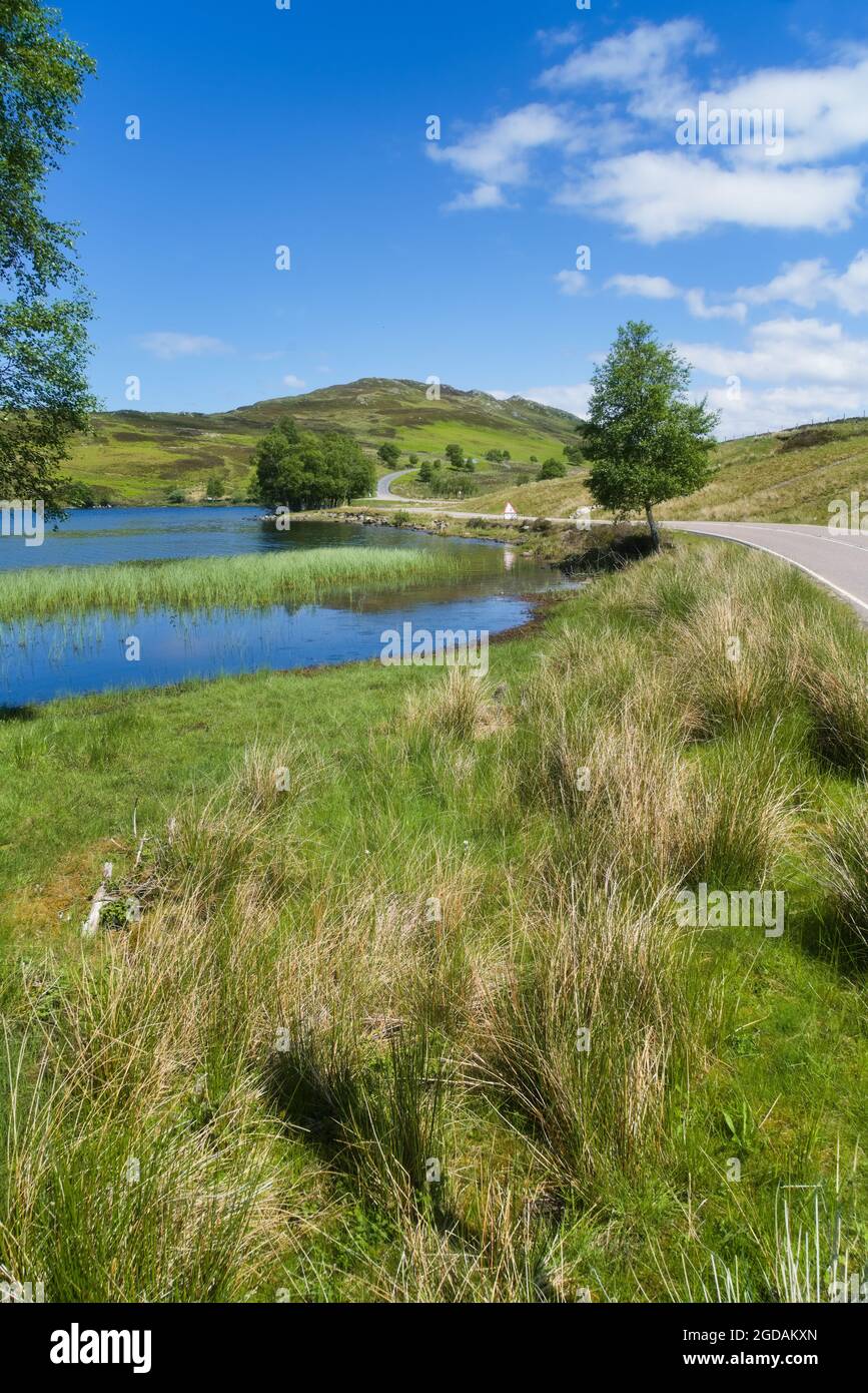 Beautiful Loch Tarff, B862, near Fort Augustus, on secret south side of ...