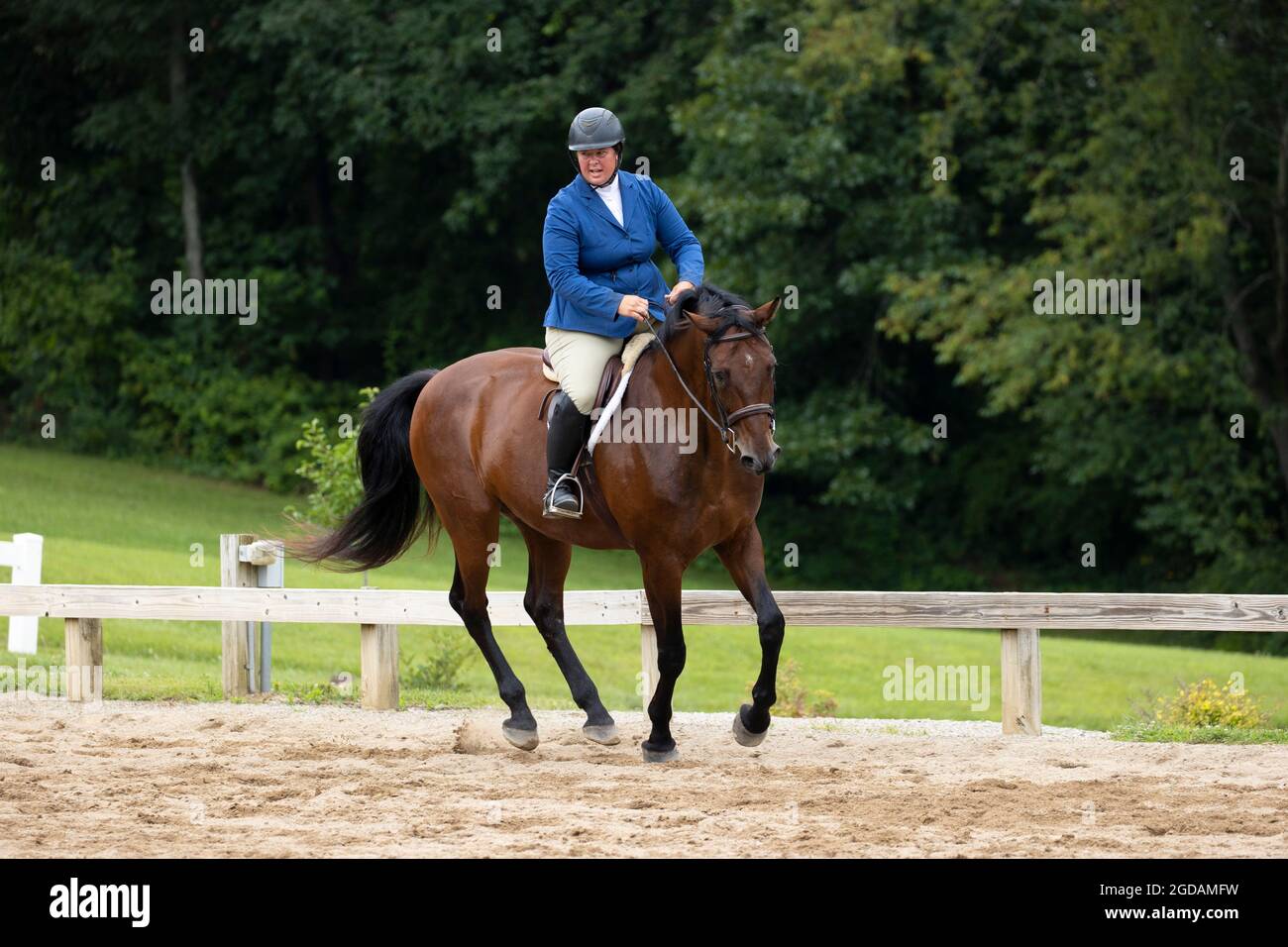 A woman riding a horse at a canter Stock Photo - Alamy