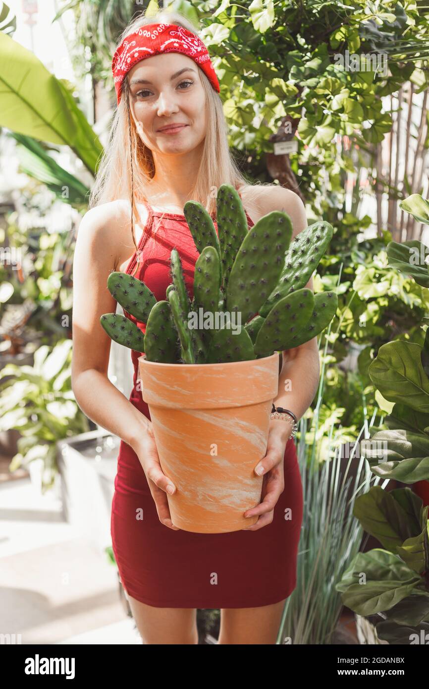 Hand holding cacti hi-res stock photography and images - Alamy
