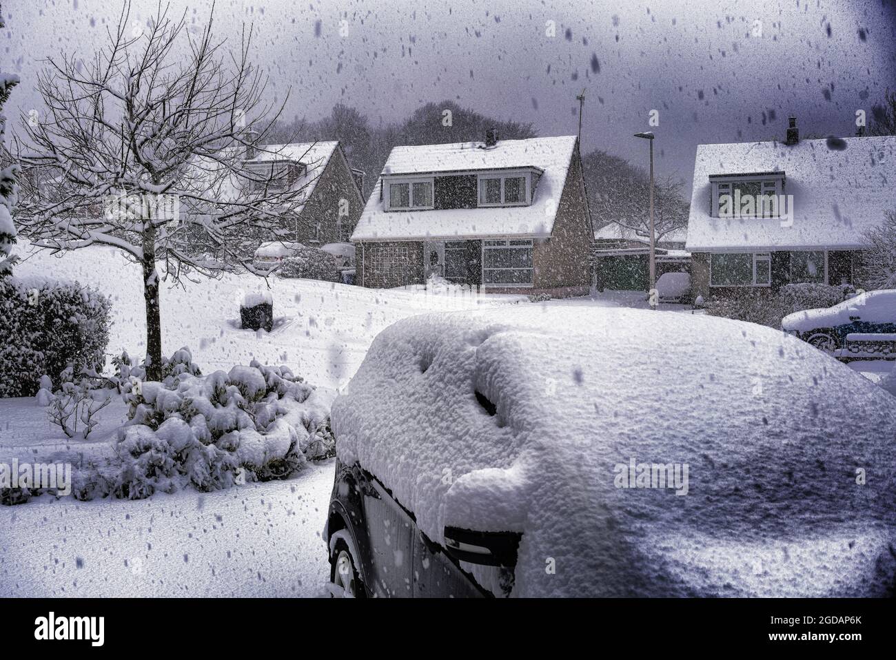 Snowy scene in housing estate, heavy snowfall, cars snowed in, covered ...