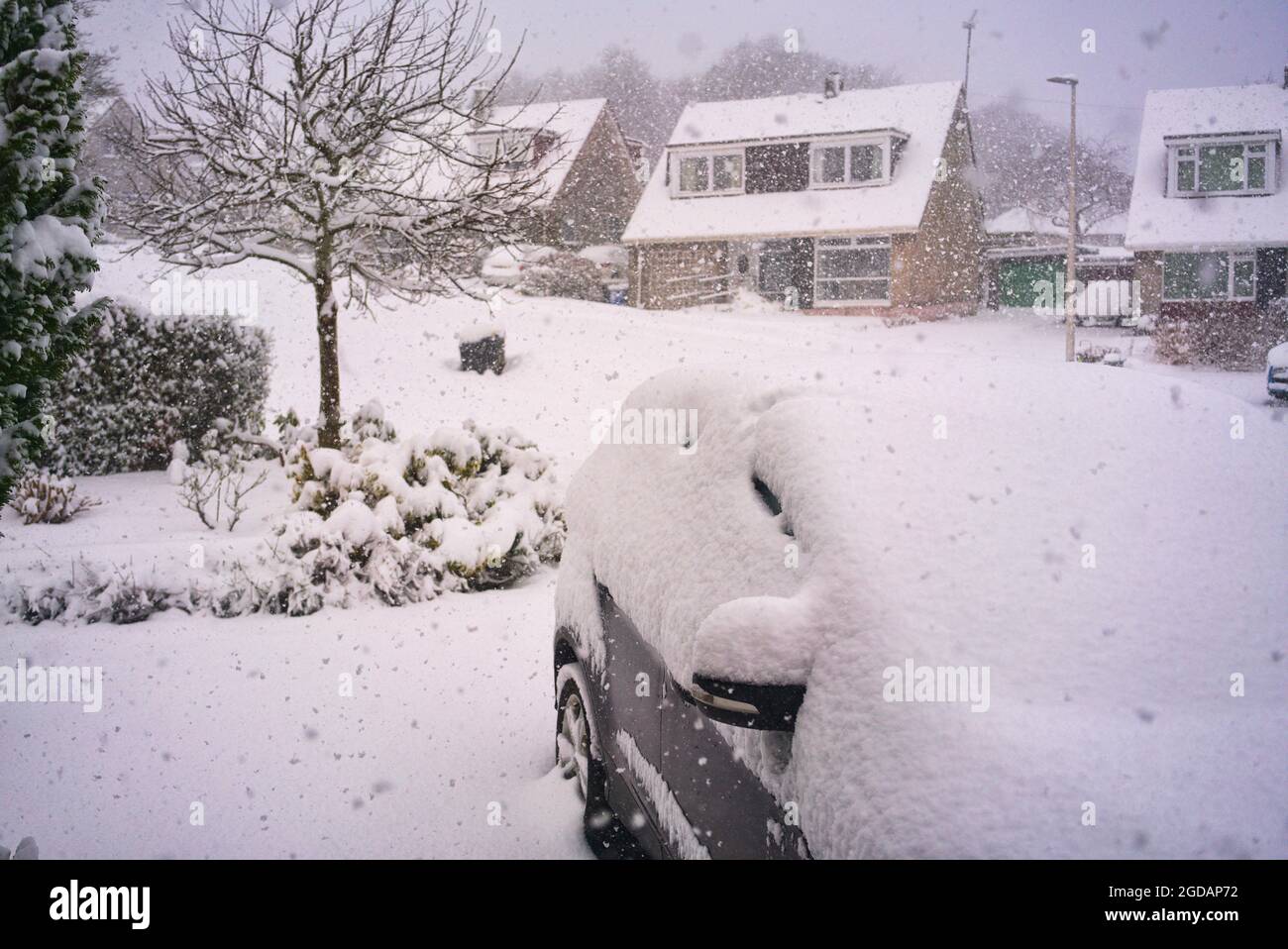 Snowy scene in housing estate, heavy snowfall, cars snowed in, covered ...