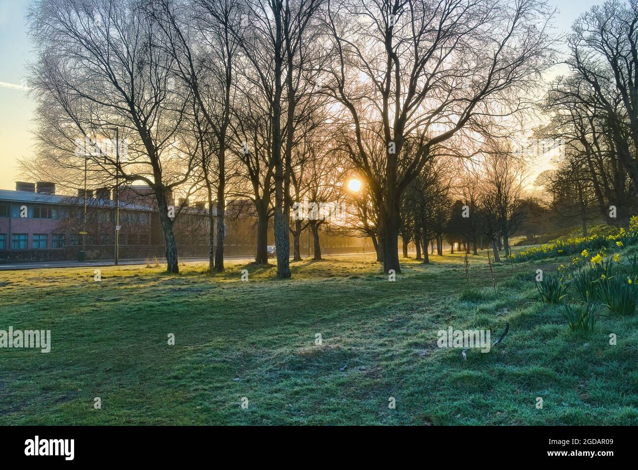 Graeme high school hi-res stock photography and images - Alamy