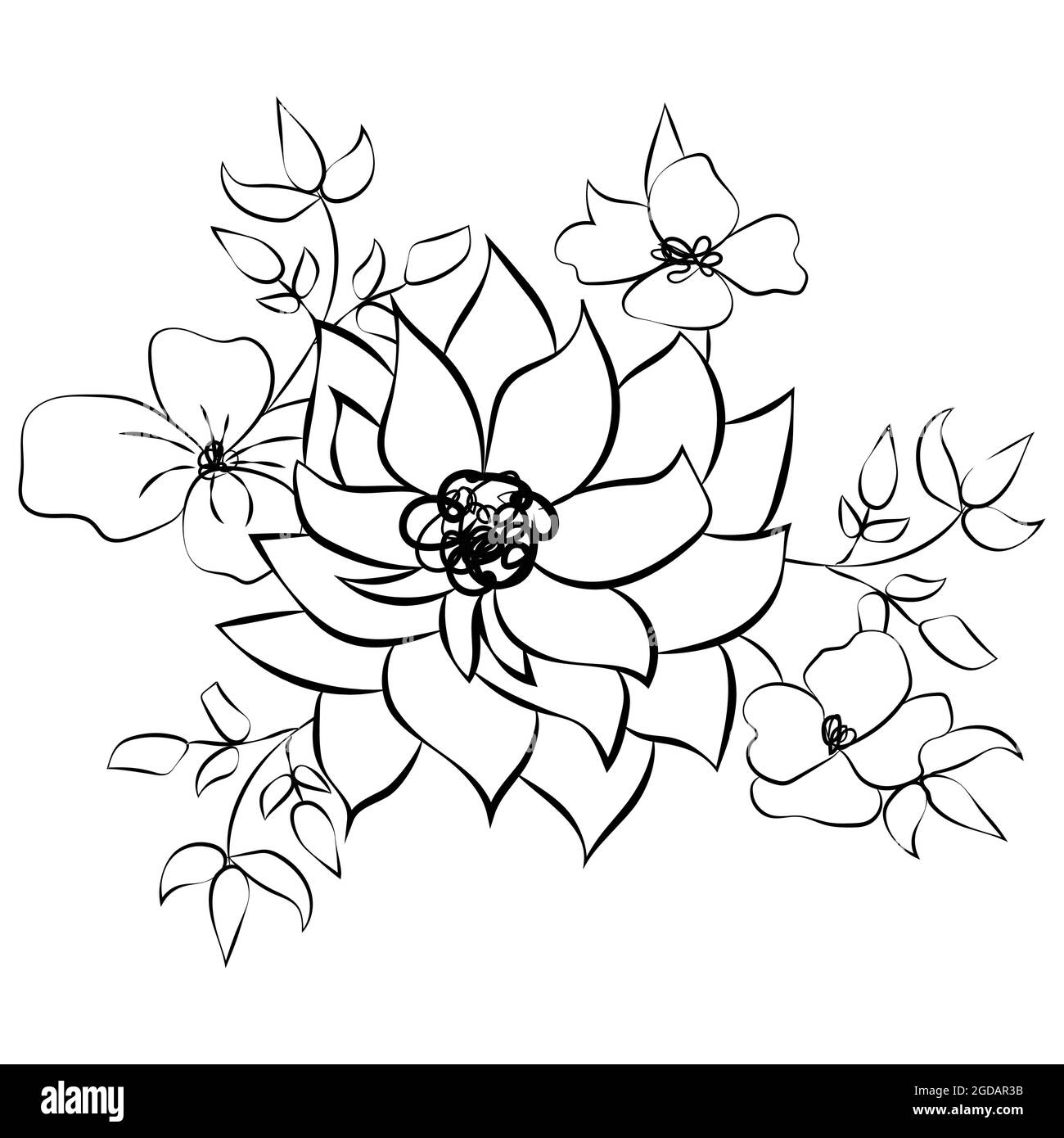 A Flower Blooming Drawing