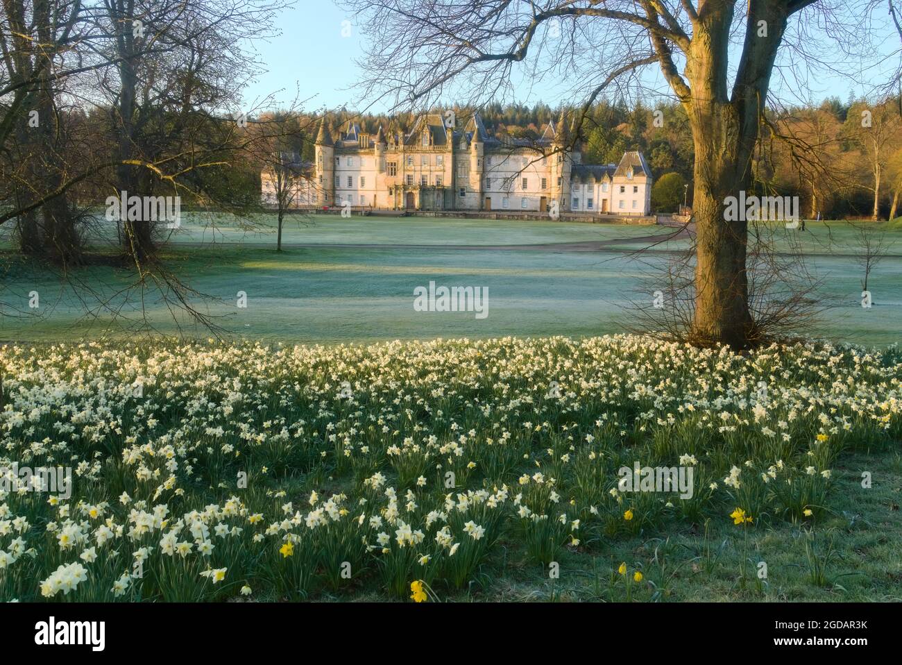 Popular, Callendar, Public, Park, daffodils, Callander, House, Chateau ...