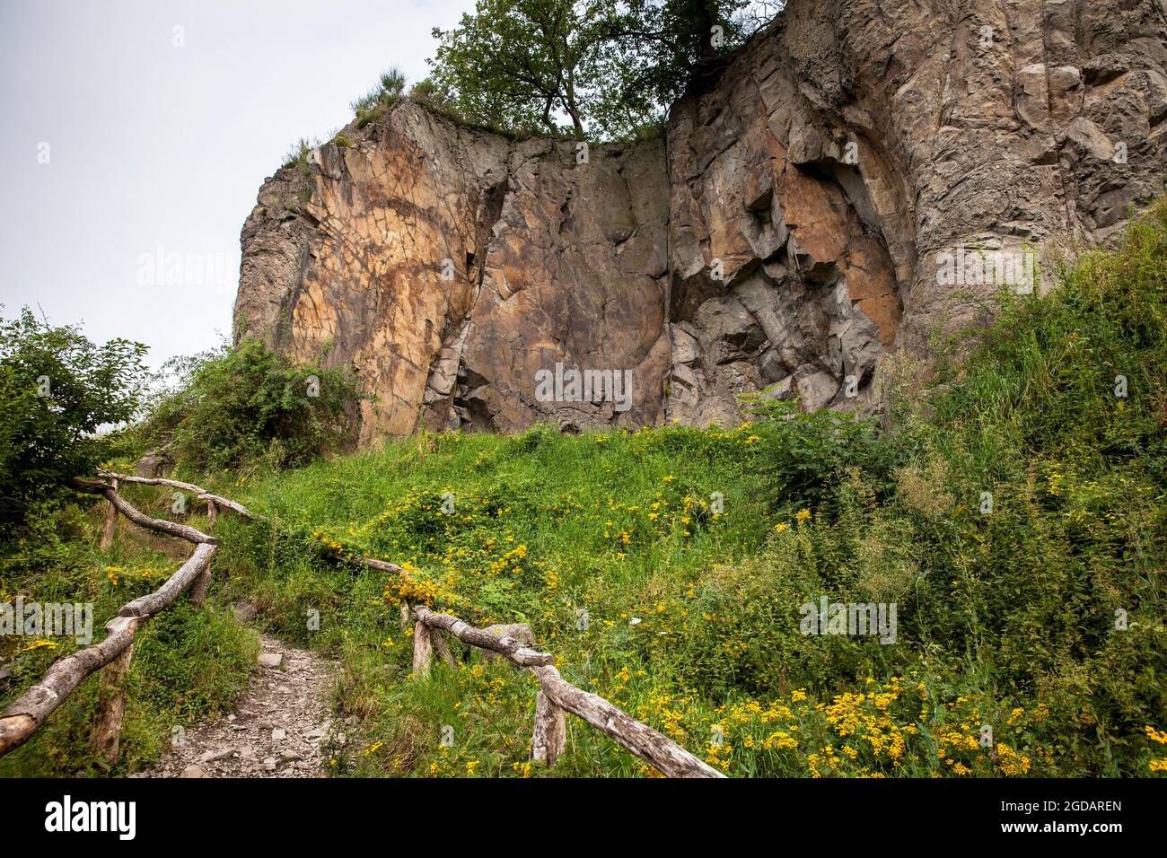 rock wall of the Stenzelberg mountain in the Siebengebirge hill range ...