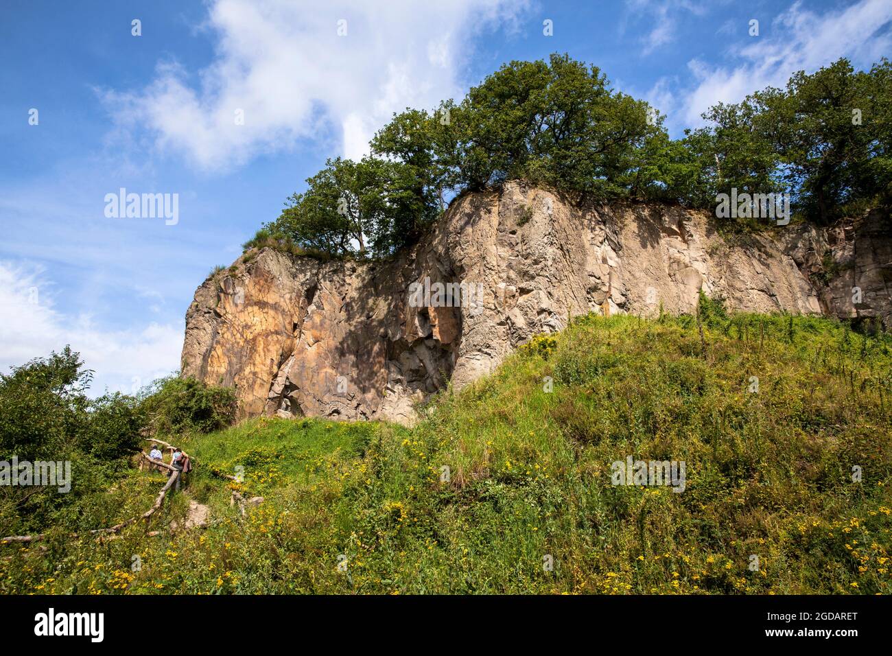 rock wall of the Stenzelberg mountain in the Siebengebirge hill range ...