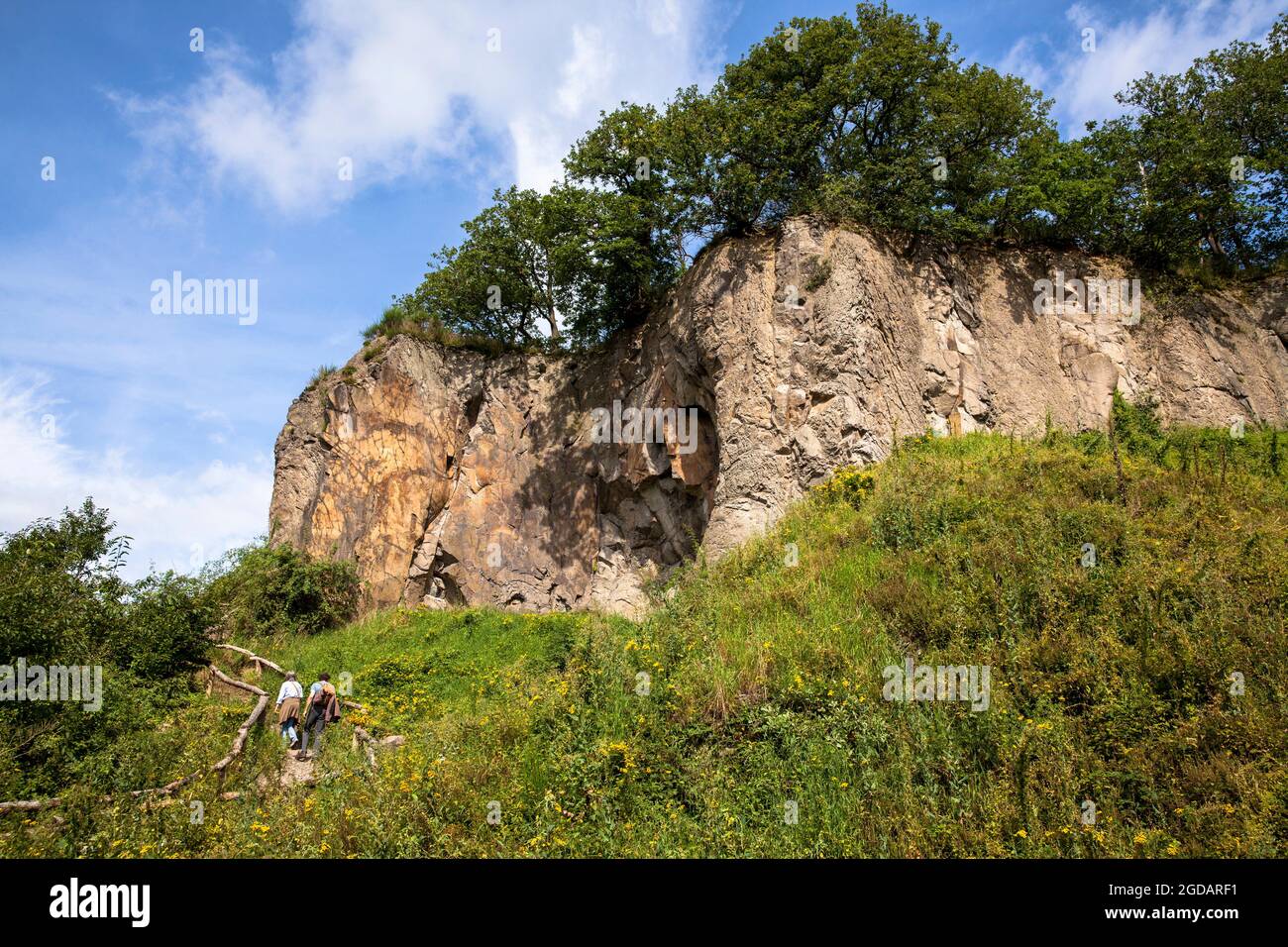 rock wall of the Stenzelberg mountain in the Siebengebirge hill range ...