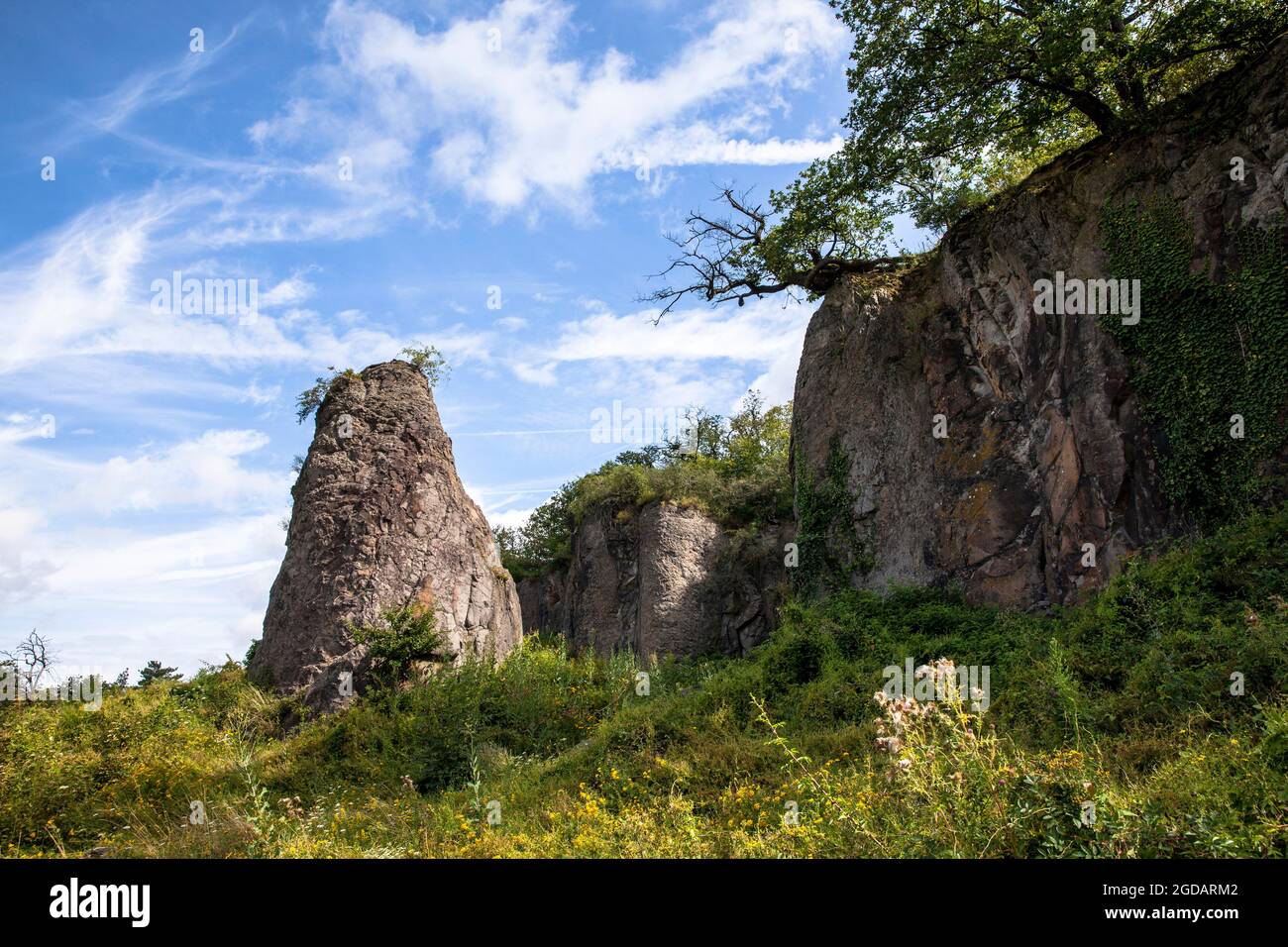 rock pillar of the Stenzelberg mountain in the Siebengebirge hill range ...