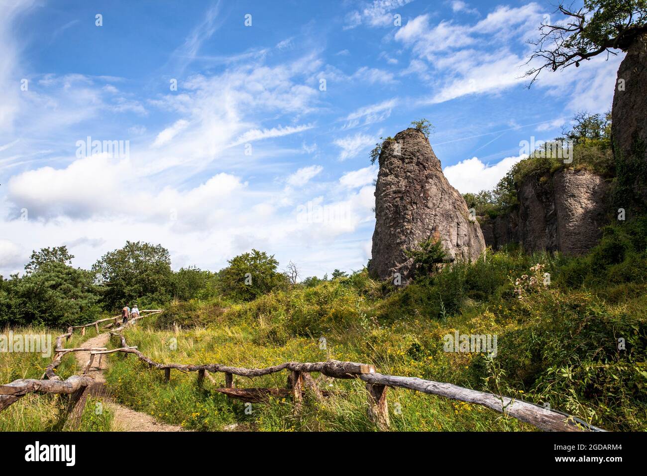 rock pillar of the Stenzelberg mountain in the Siebengebirge hill range ...