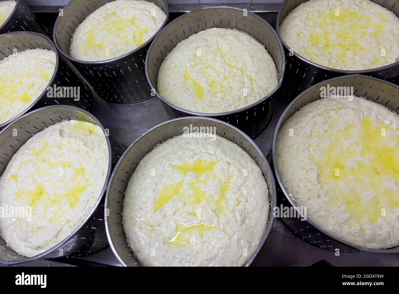 phases of Greek feta cheese production in a cheese factory in Greece ...