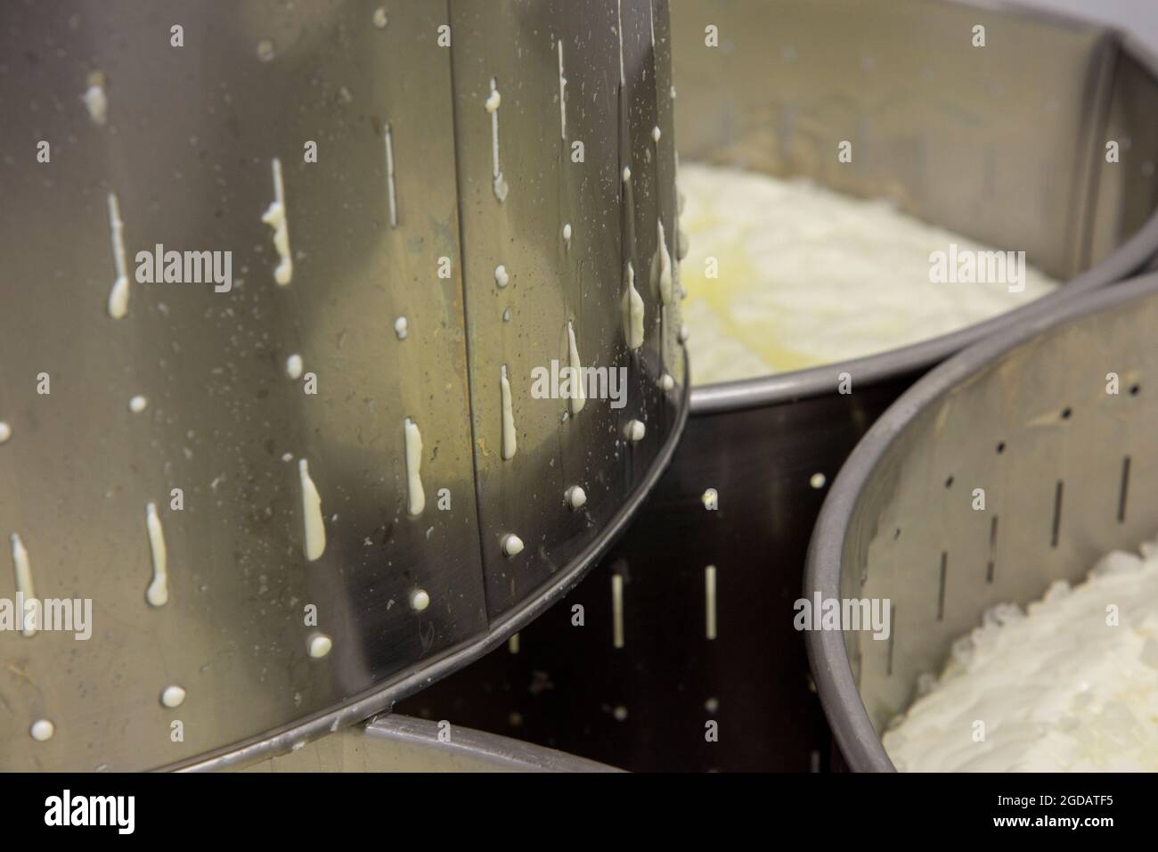 phases of Greek feta cheese production in a cheese factory in Greece ...
