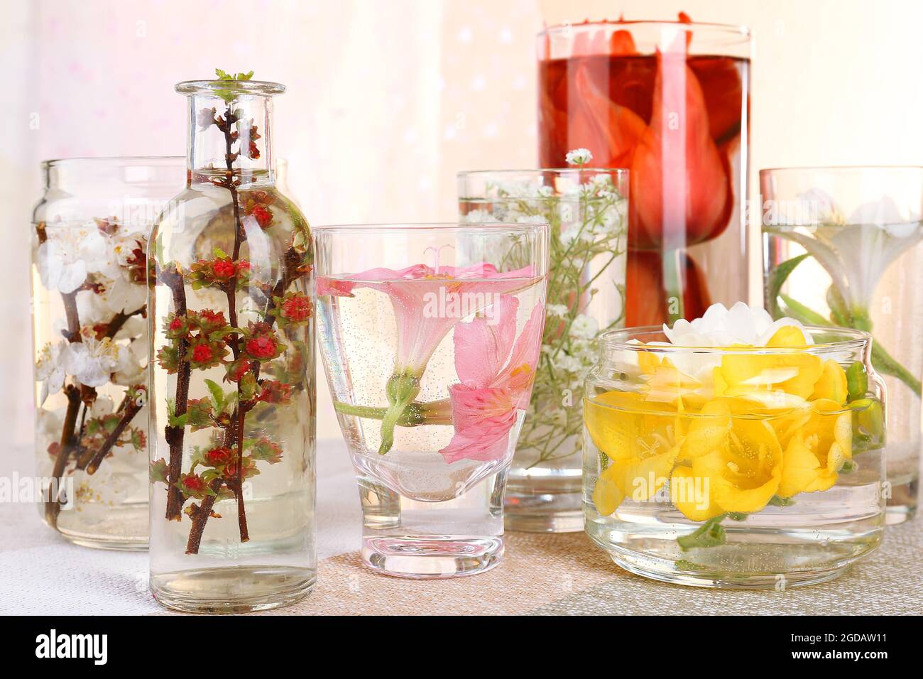 Spring flowers submerged in water close up Stock Photo - Alamy