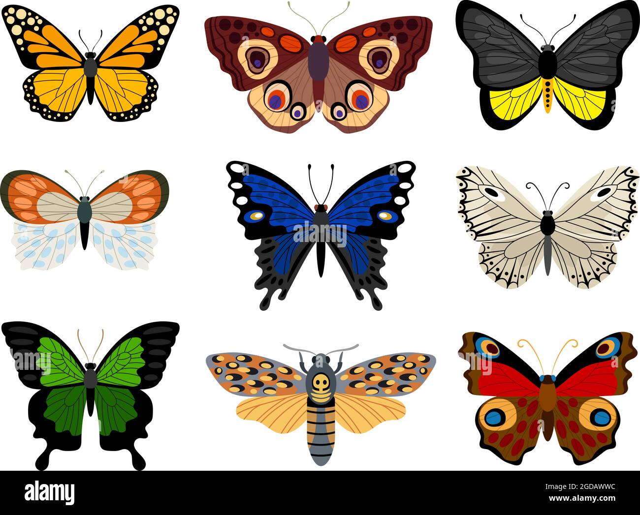 Vector collection of different colorful nice Butterflies Stock Vector ...