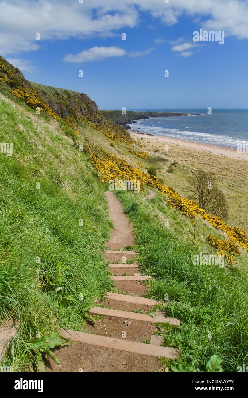 Angus walker hi-res stock photography and images - Alamy