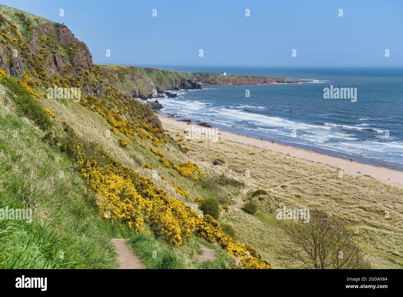 St Cyrus, visitor, beach, Angus, bright, sunny, famous beach, East ...