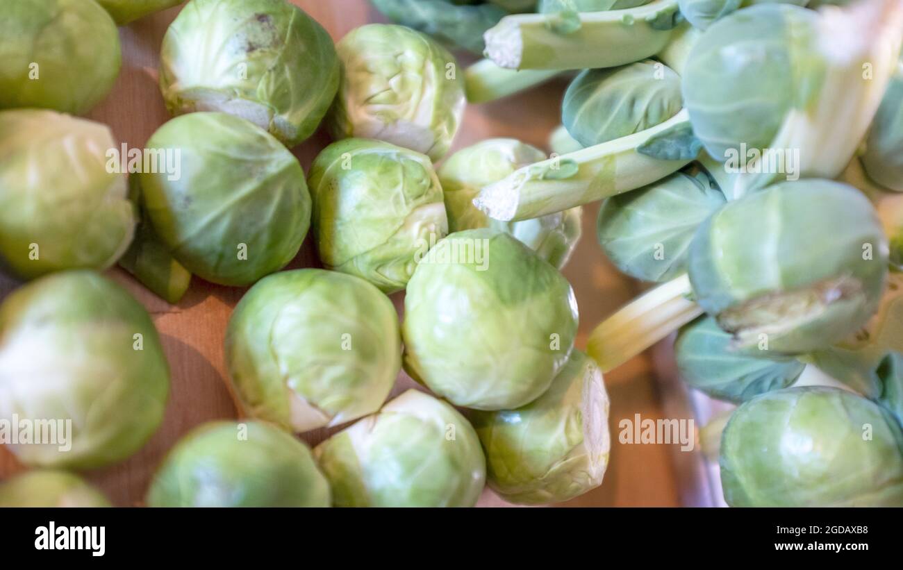 Lots of sprouts hi-res stock photography and images - Alamy