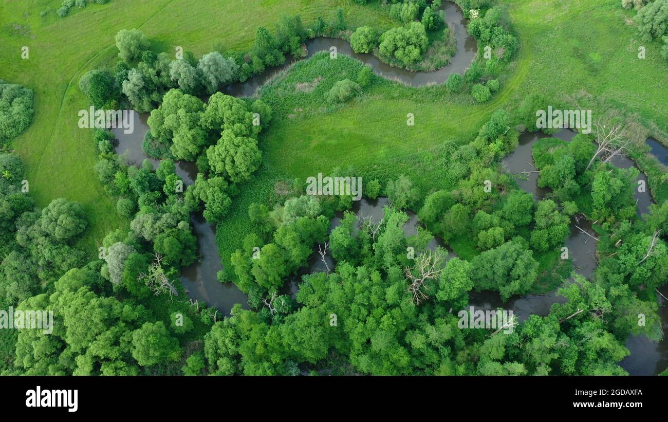 Inland river delta river meander dron aerial video shot in floodplain ...