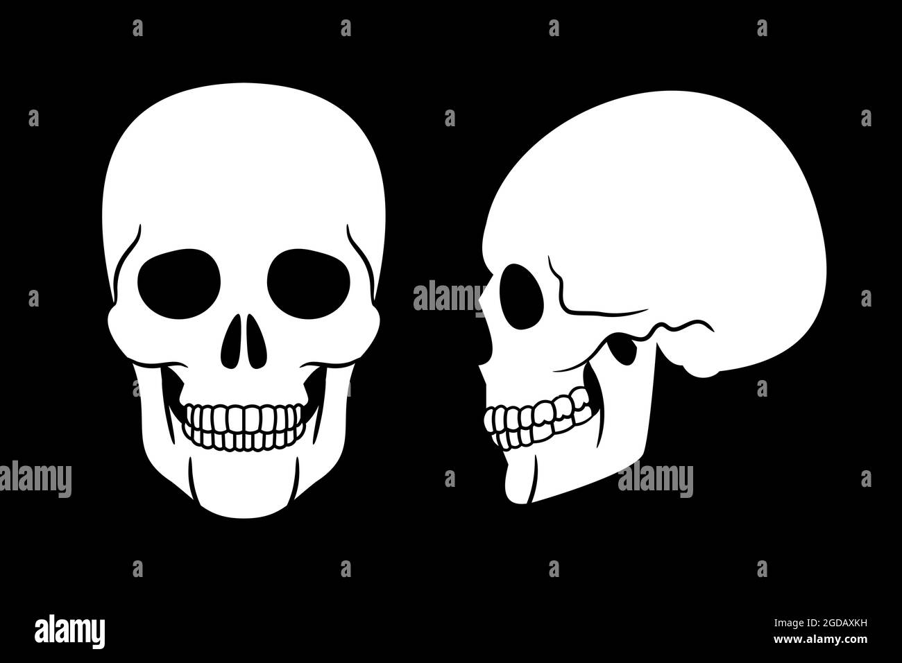 Old human skull white background Stock Vector Images - Alamy