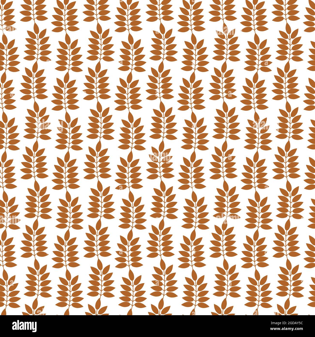 Ash leaves placed vertically in several rows on a transparent color ...