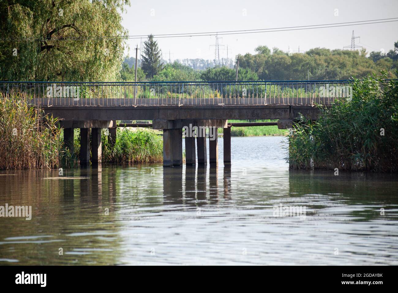 concrete bridge over a small river with green reeds. Road bridge with ...