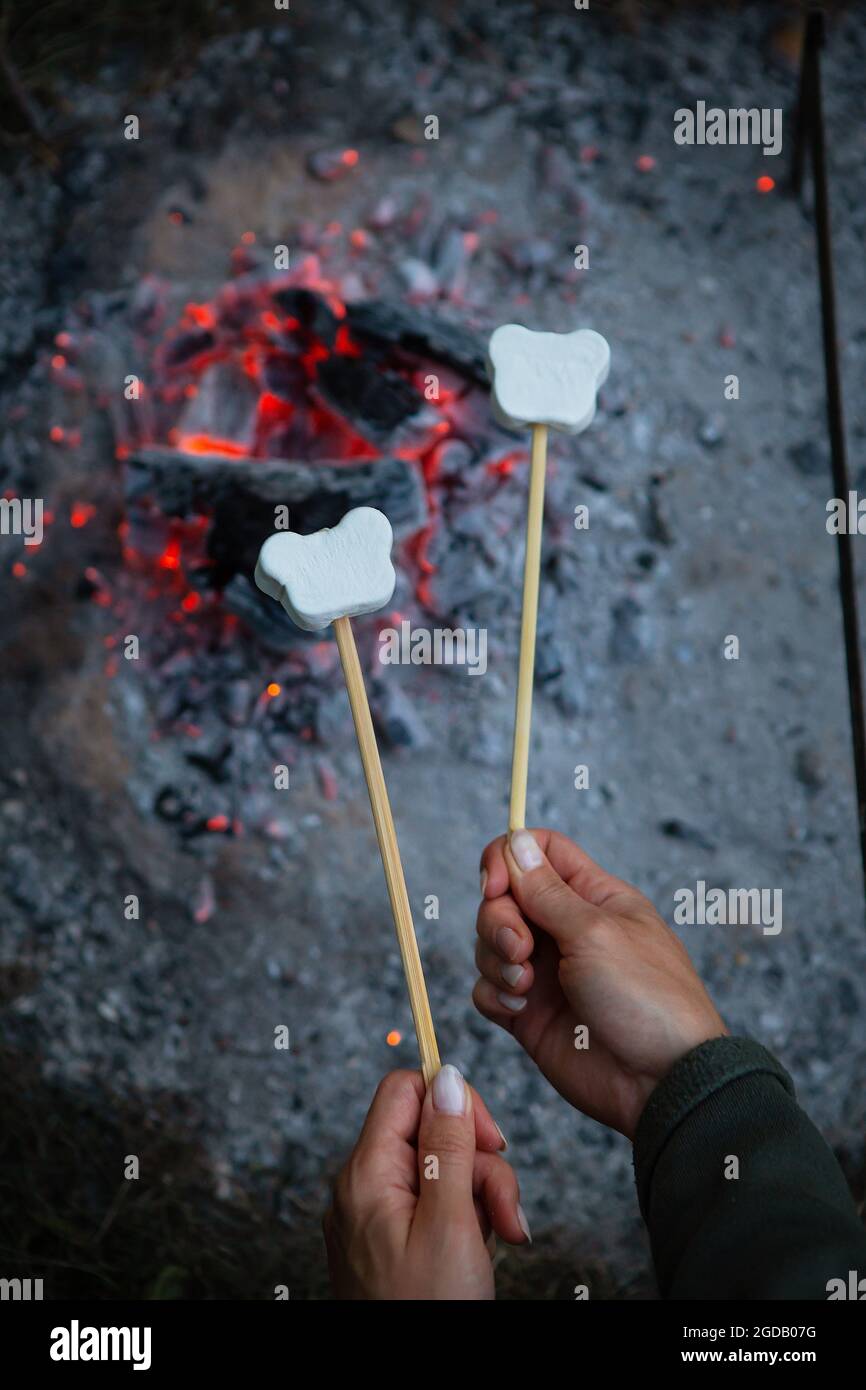 Toast marshmallow candy fire camp hi-res stock photography and images ...