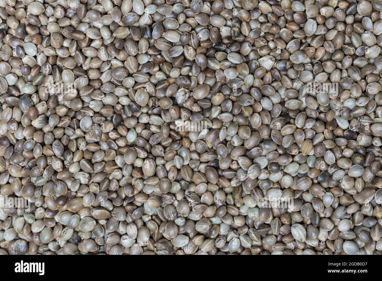 Hemp seeds hi-res stock photography and images - Alamy