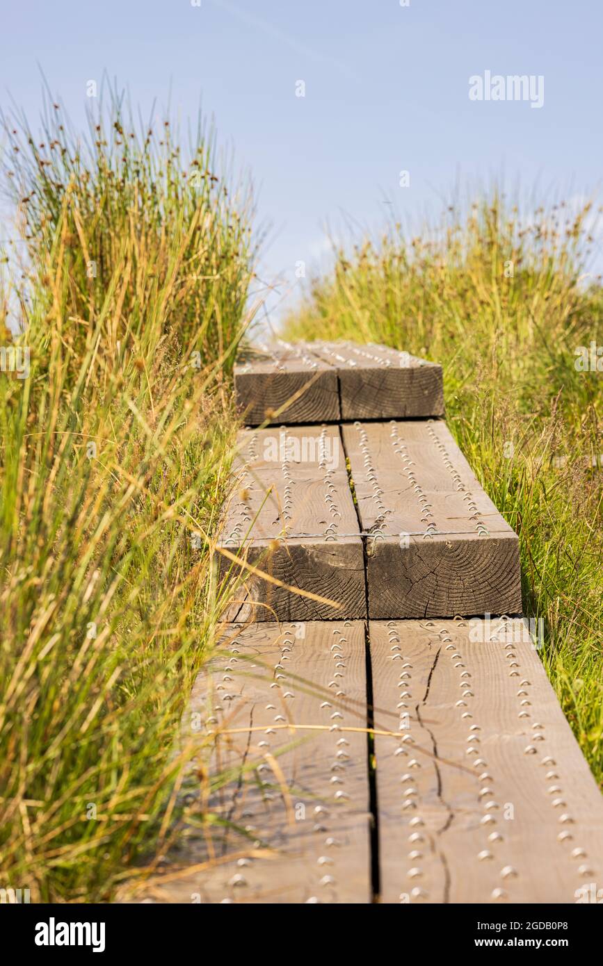 Spinc walk hi-res stock photography and images - Alamy