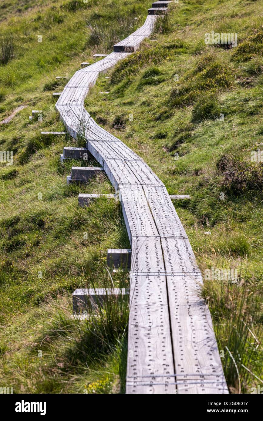 Stepped walkway made from railway sleepers and U nails for grip through ...