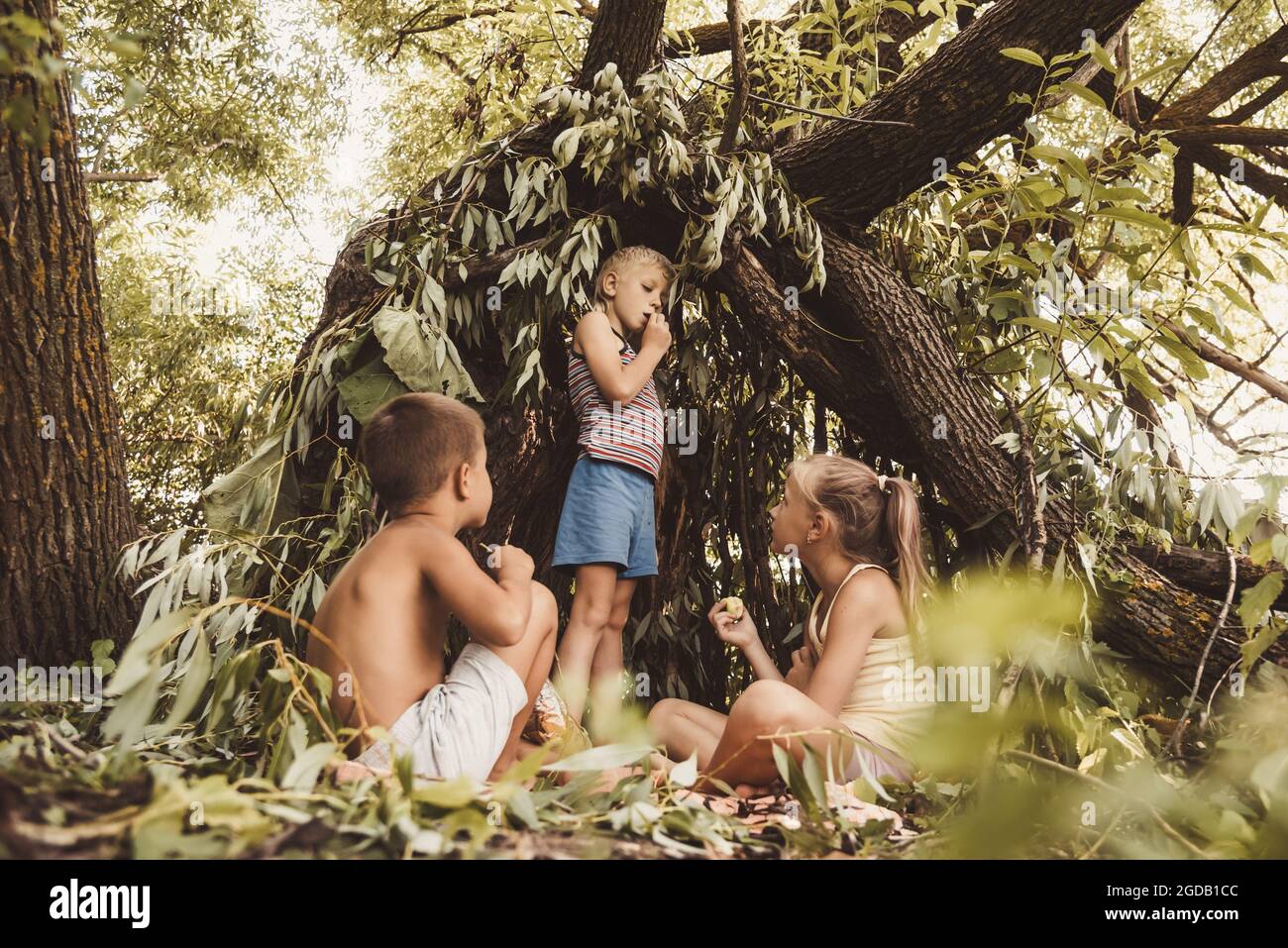 Three children play in a hut which they themselves have built from ...