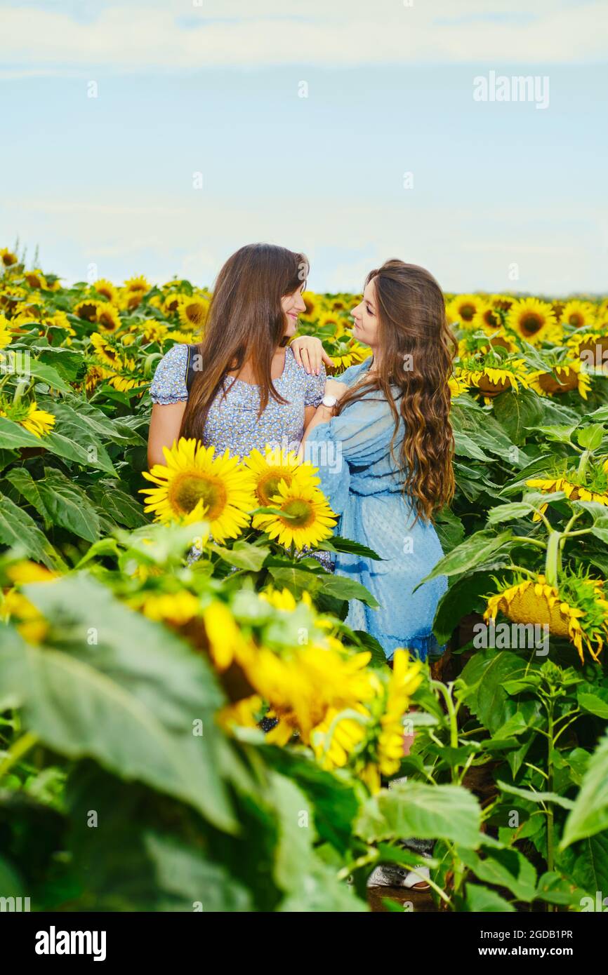 Two female friends lean on each other on sunflower field Stock Photo ...
