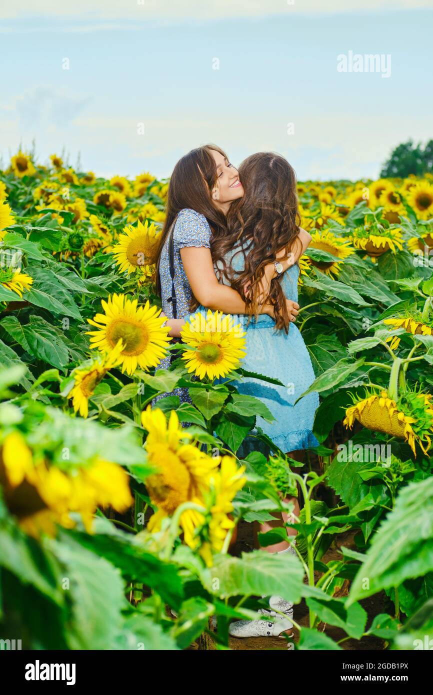 Two female friends hug each other on sunflower field Stock Photo - Alamy