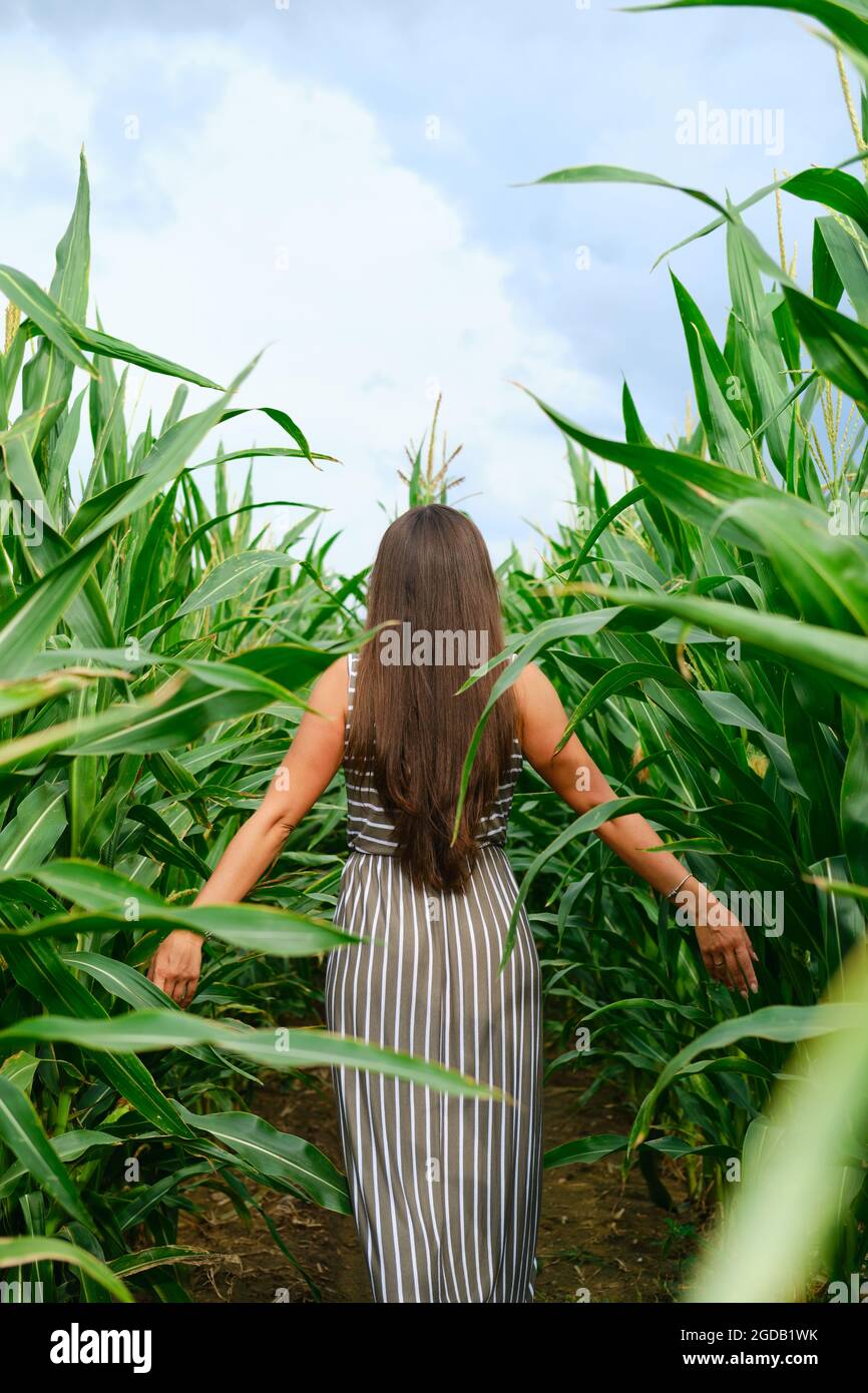 Woman sundress rear view hi-res stock photography and images - Alamy