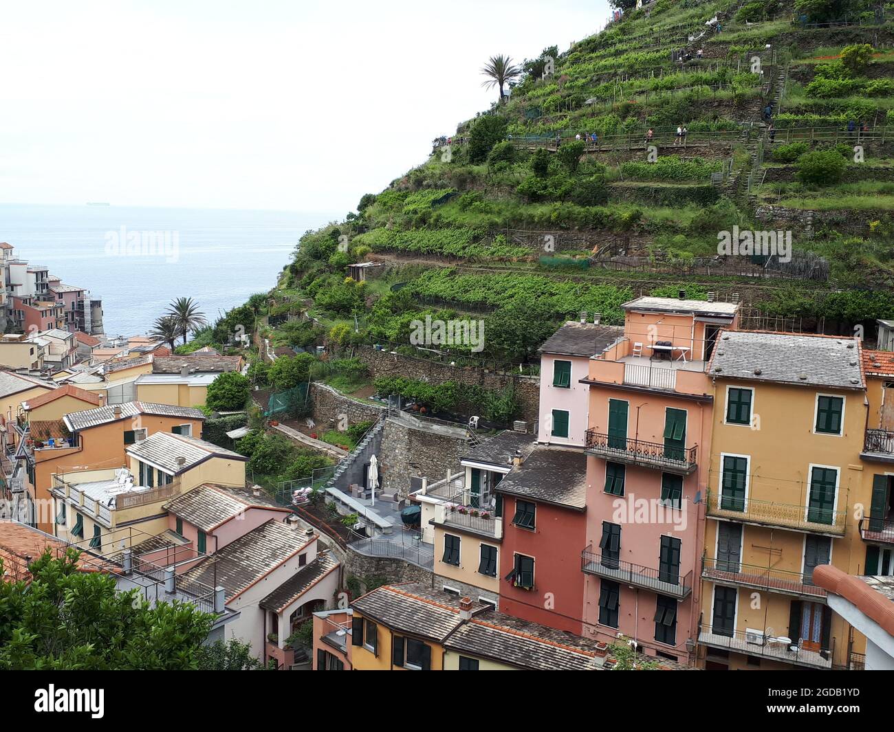 Italian national park at the seashore of Manarola and colorful houses ...