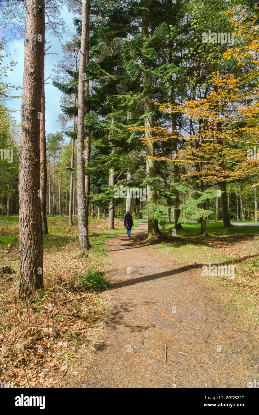 Spring colours Royal Deeside, Crathes Castle Royal Deeside, Banchory ...