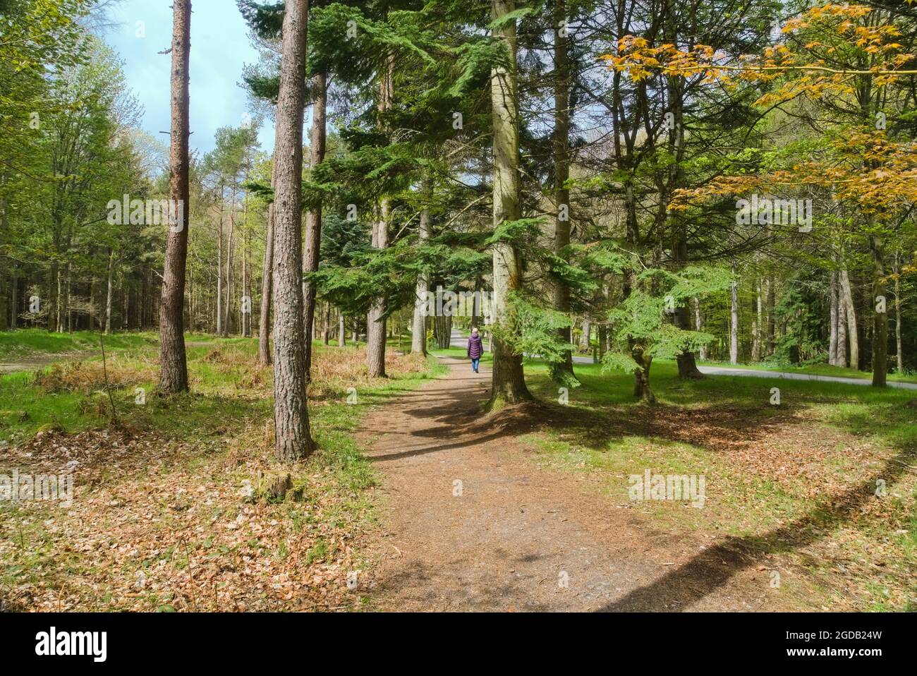 Spring colours Royal Deeside, Crathes Castle Royal Deeside, Banchory ...