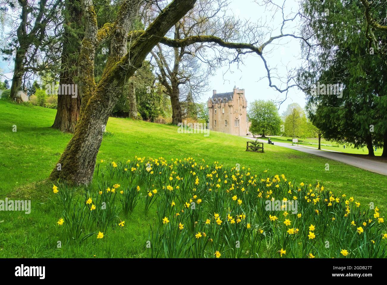 Spring colours Royal Deeside, Crathes Castle Royal Deeside, daffodils ...