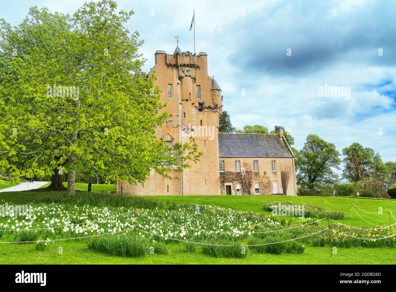 Spring colours Royal Deeside, Crathes Castle Royal Deeside, daffodils ...